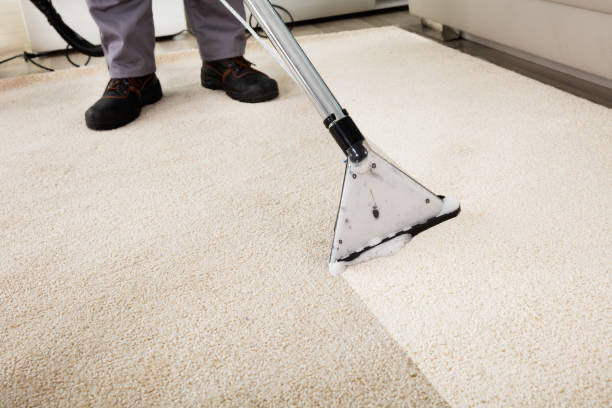 Carpet Cleaning - Alpha Clean Carpet Cleaning